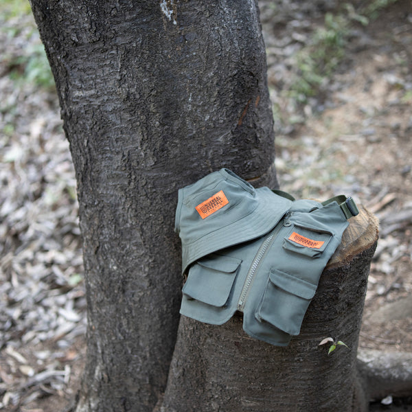 New Arrival | UNIVERSAL OVERALL